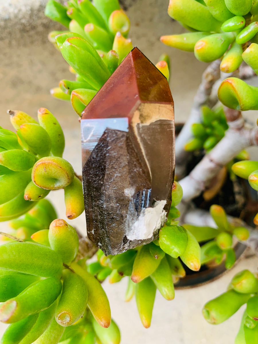 Red Phantom Quartz – Phantom Shadow Crystals